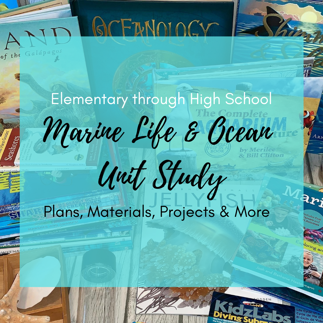 Marine Life & Ocean Unit Study – Willow & Owl