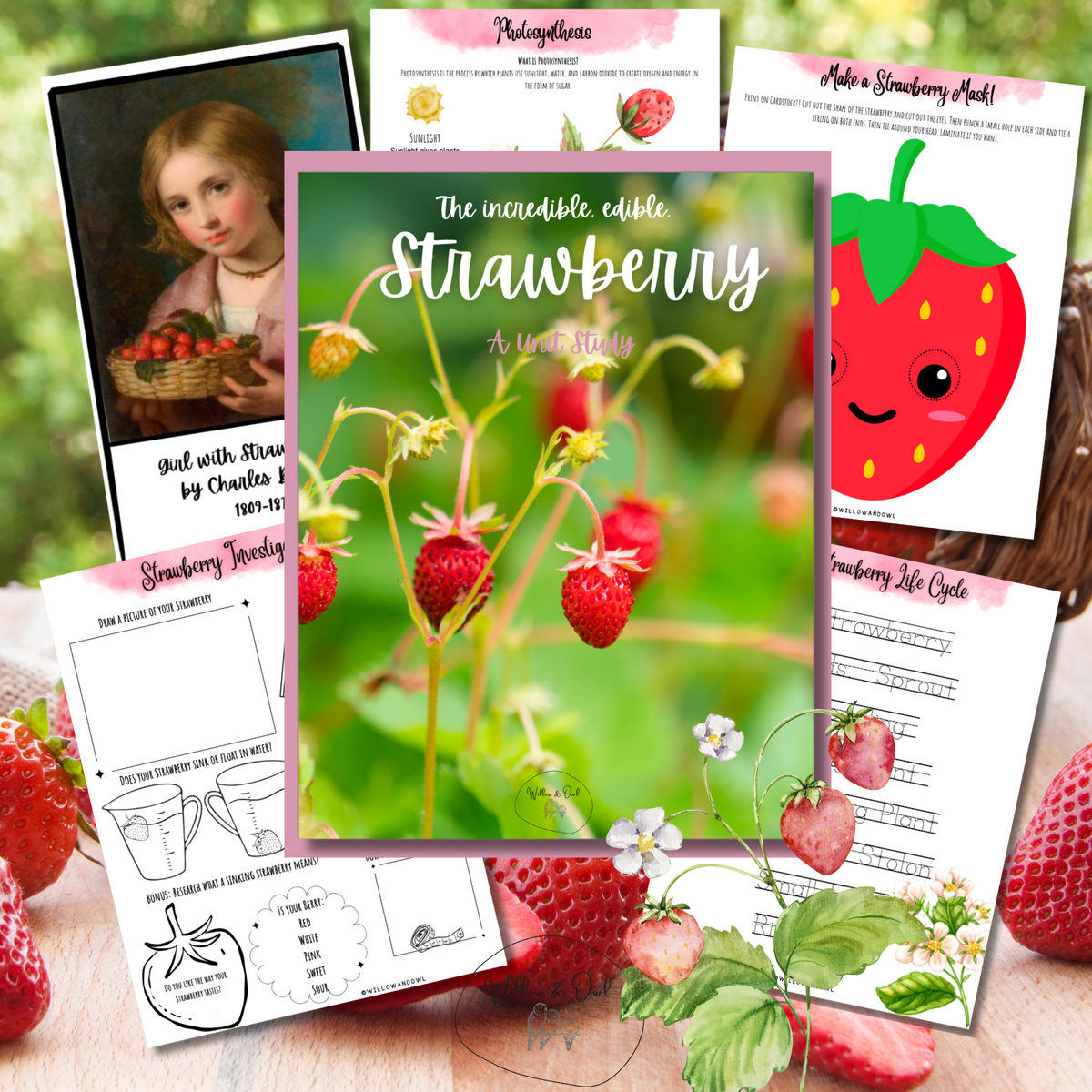 The Incredible, Edible Strawberry: A Mini Unit Study – Willow & Owl