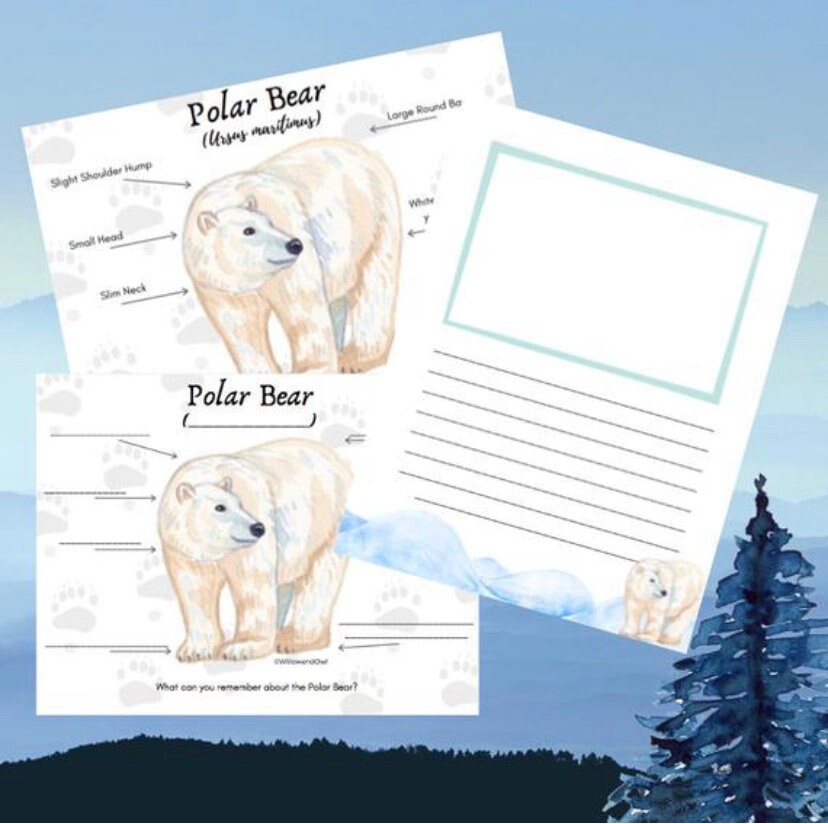 Arctic Animal Anatomy Bundle with Penguin, Polar Bear, & Wolf – Willow ...