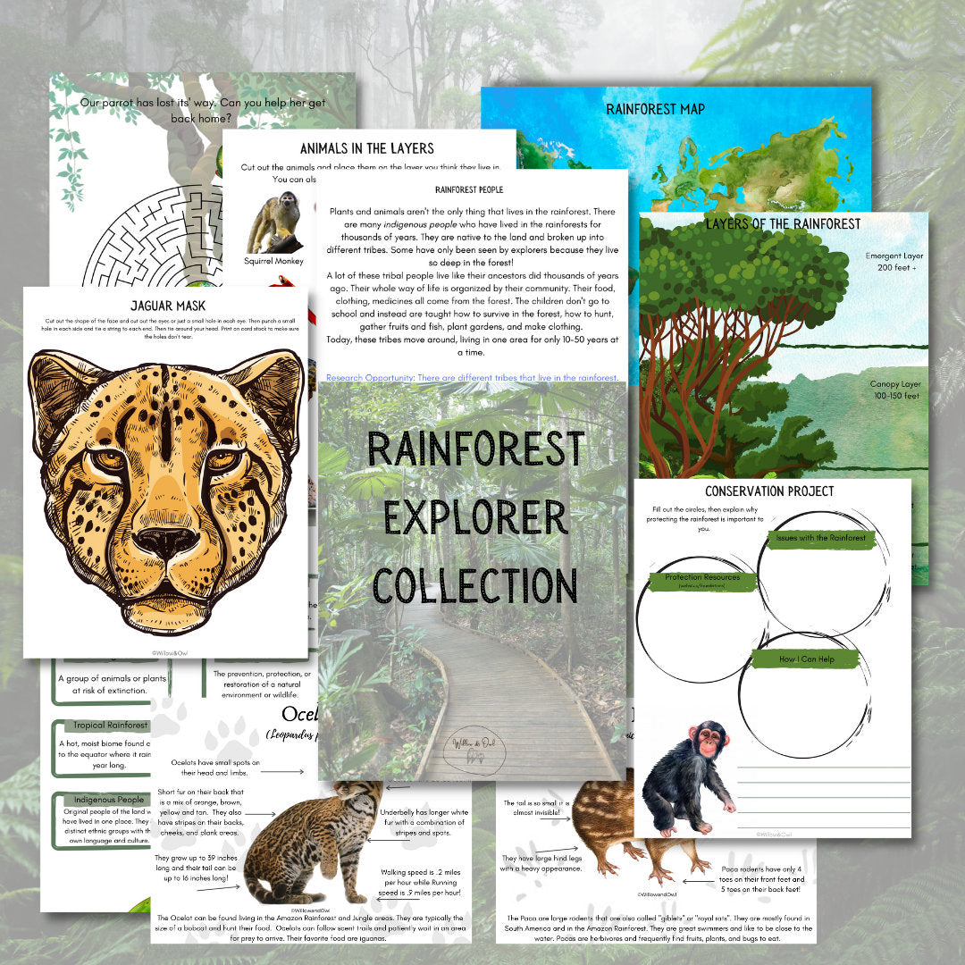 Rainforest Explorer Collection and Mini Unit Study – Willow & Owl